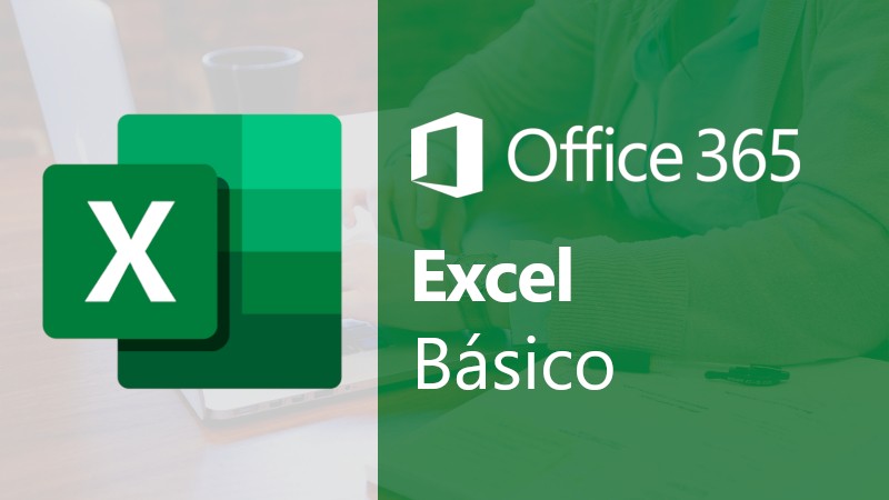 MS Excel 365, nivel básico – Impulsa Más OTEC